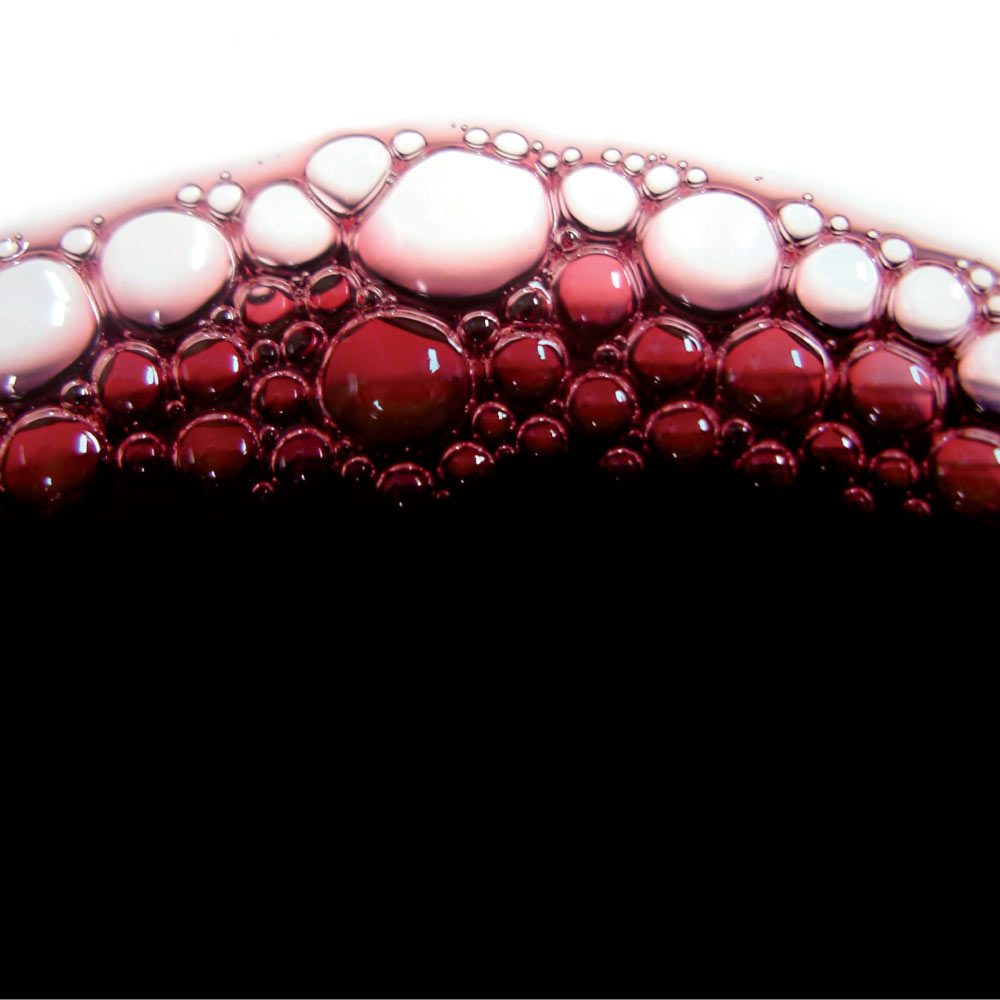 MaloBacti HF2 Direct Inoculation - Kauri NZ